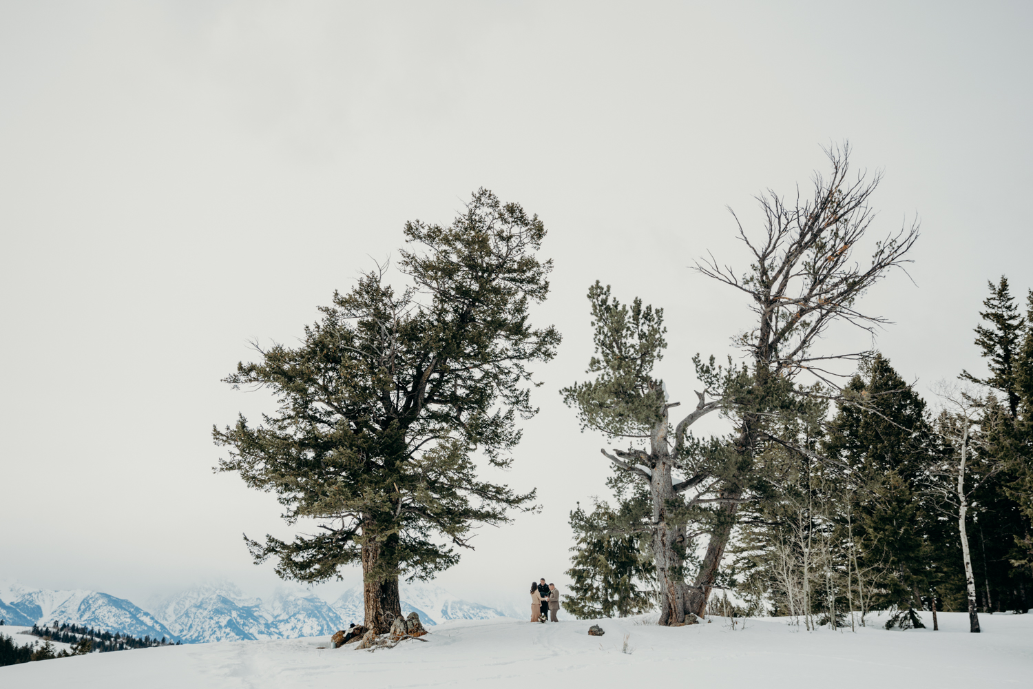 Grand Teton National Park Elopement at the Wedding Tree | Jeremy ...