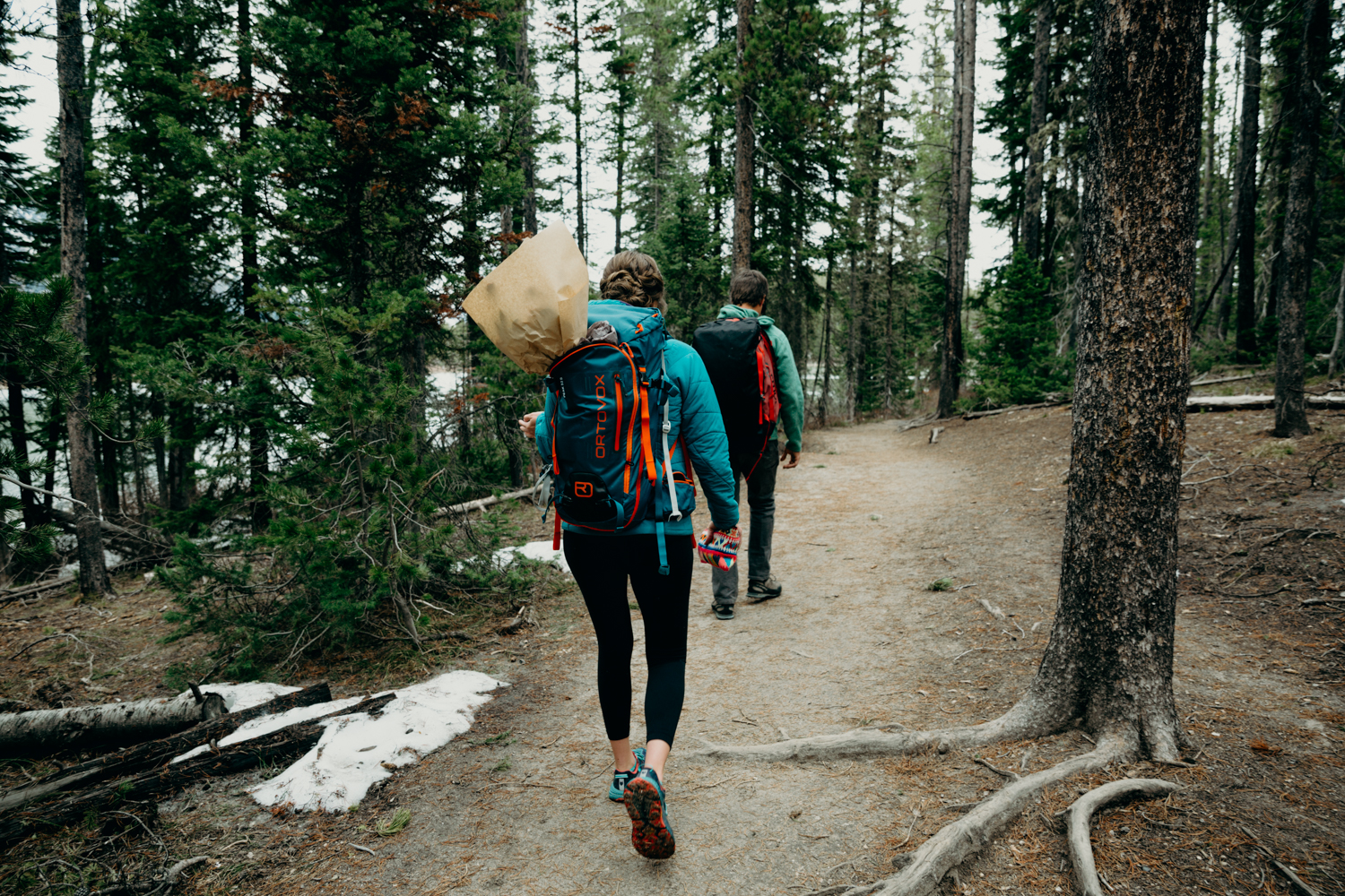 Backcountry Elopement in Grand Teton National Park | Tanner & Virginia ...